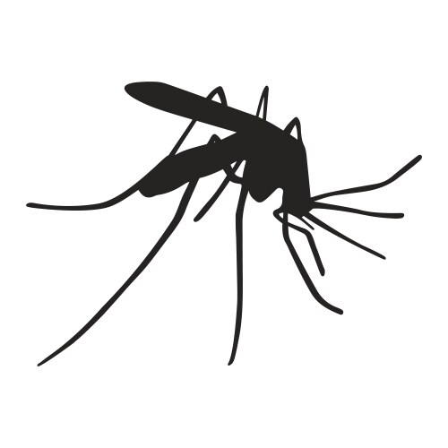 Mosquito Vector Images (over 16,000)