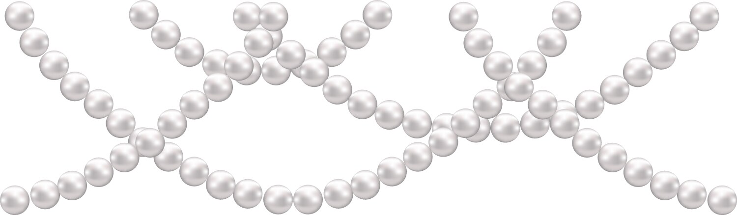 Pearl border Royalty Free Vector Image - VectorStock