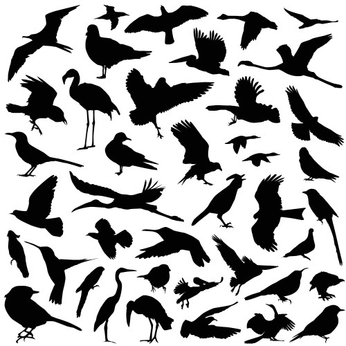 Group of Birds Vector Images (over 17,000)