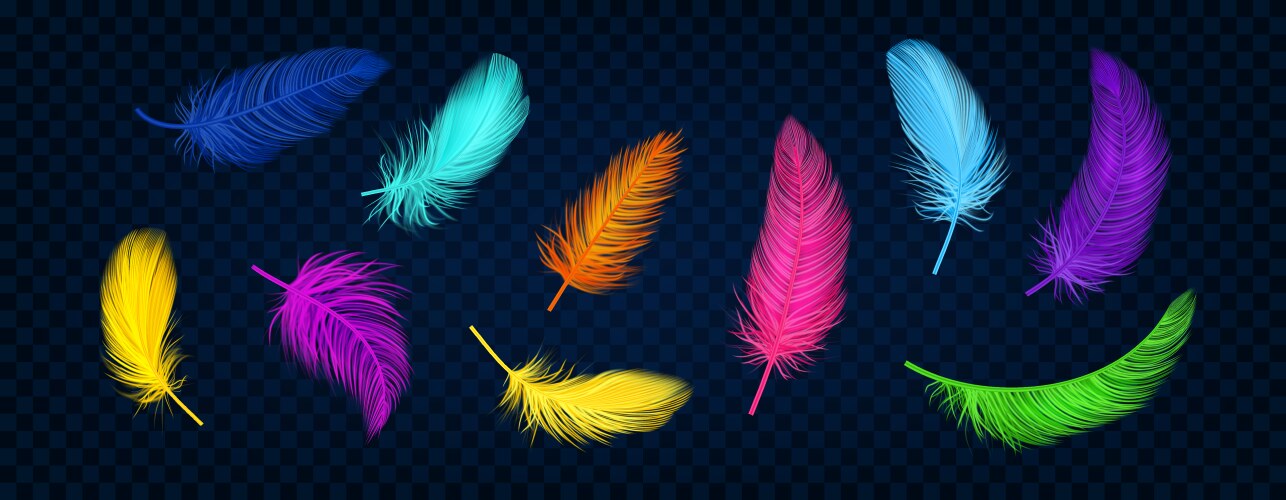 3d feather collection falling Royalty Free Vector Image