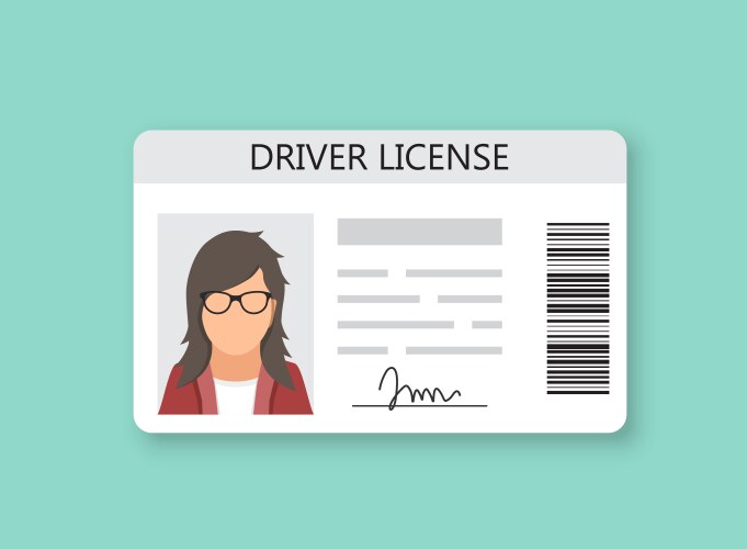 Driver license icon in flat style identification Vector Image