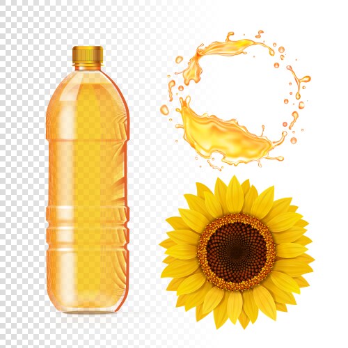 Sunflower cooking oil Royalty Free Vector Image