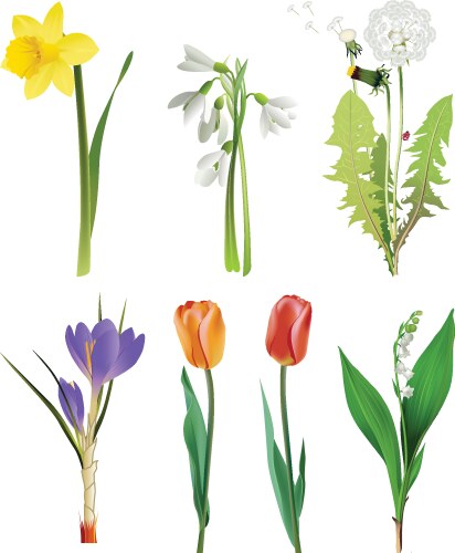 Spring Vector Images (over 1.5 million)