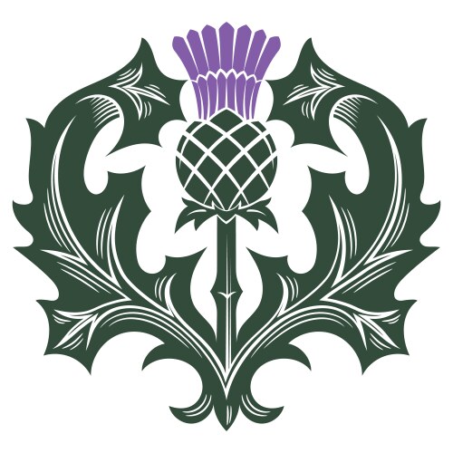 Celtic Thistle Vector Images (over 130)