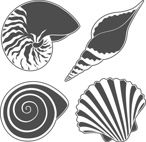 Set of beautiful sea shells Royalty Free Vector Image