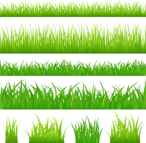 Grass borders big set Royalty Free Vector Image