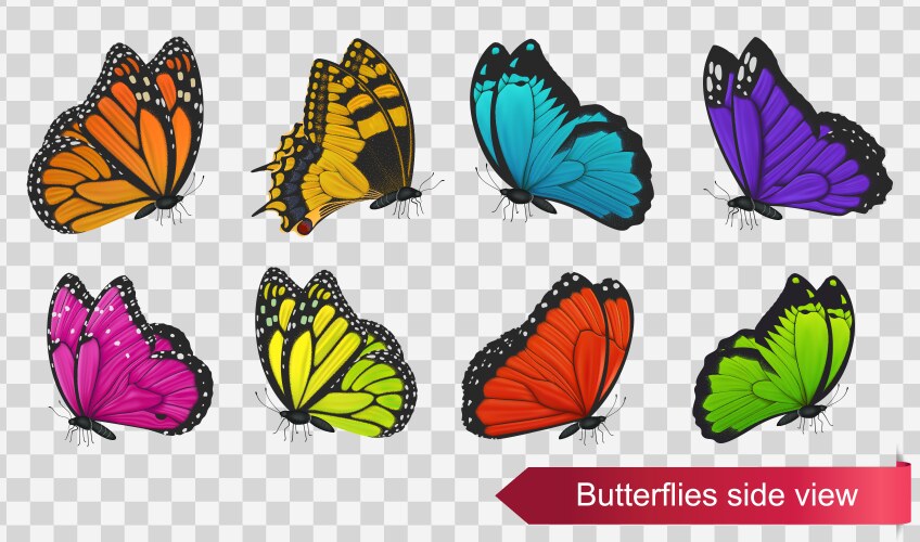 Butterfly Side View Vector Images (over 330)