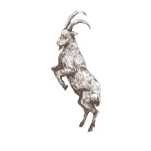 Goat Vector Images (over 40,000)