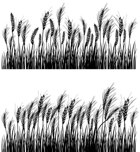 Wheat Vector Images (over 140,000)