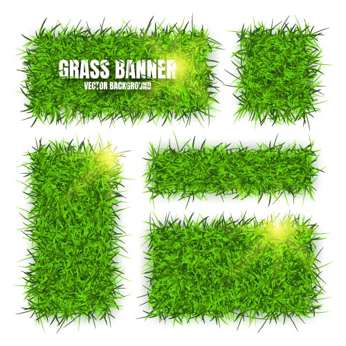 Green grass banners background field meadow Vector Image