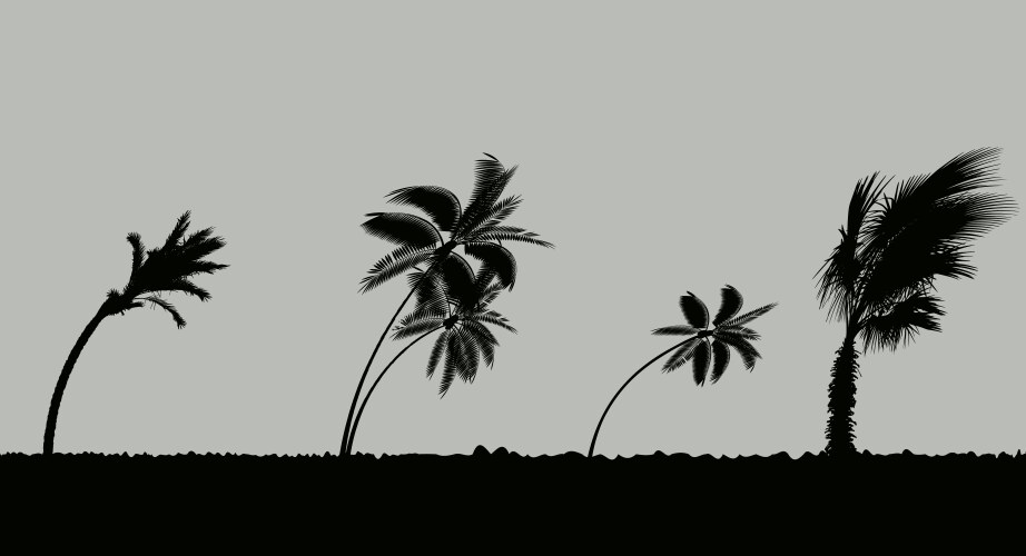 Storm Palm Trees Vector Images (over 420)