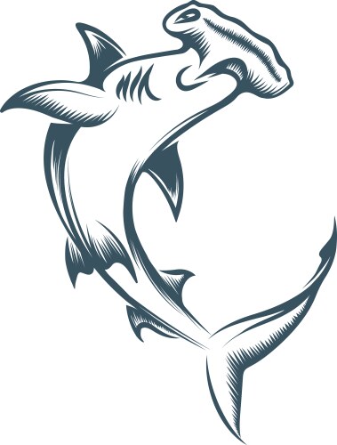 Hammerhead shark Royalty Free Vector Image - VectorStock