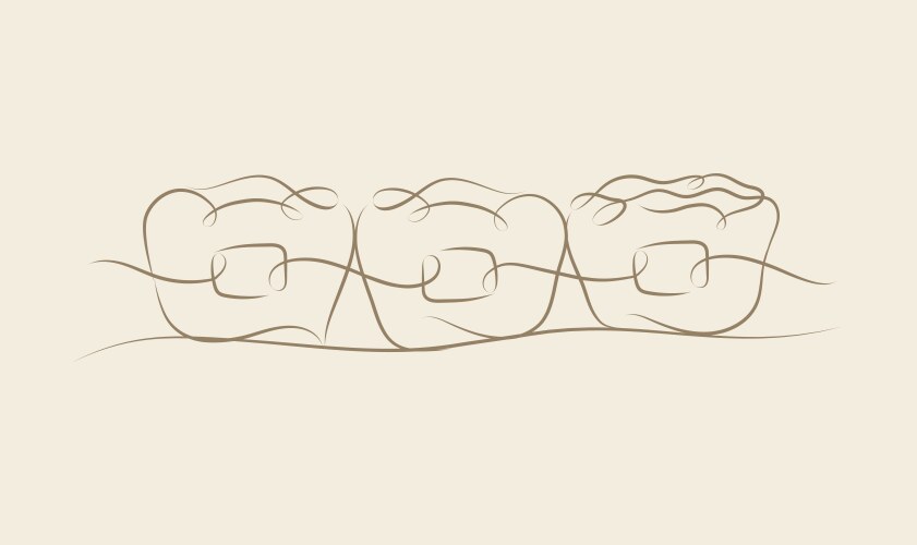 Seamless pattern with teeth an toothbrushes Vector Image