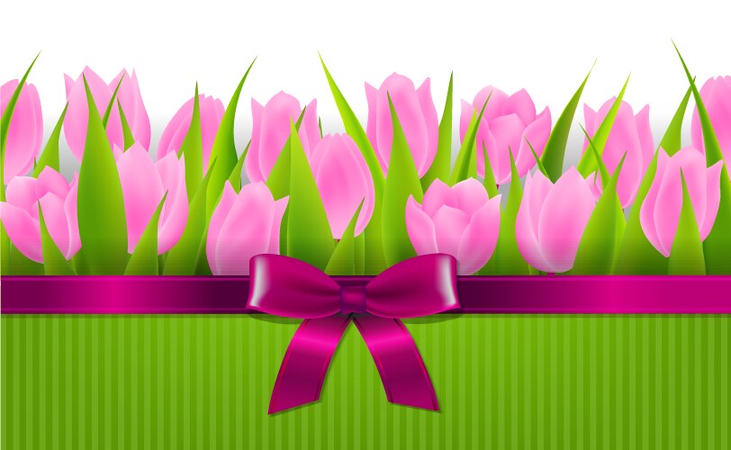 Border of pink tulips Royalty Free Vector Image