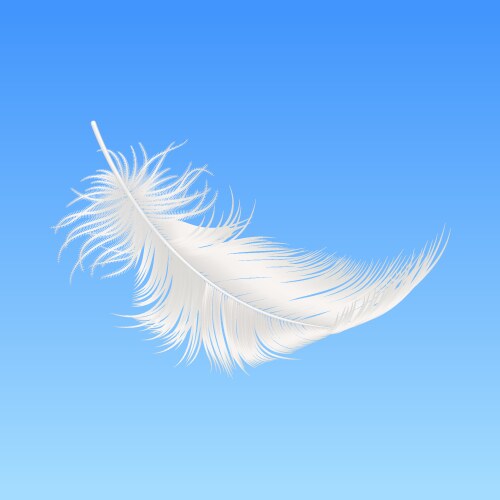 Feather Falling Icon Vector Images (over 1,600)