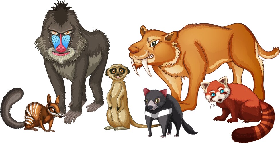 Rare animal Royalty Free Vector Image - VectorStock