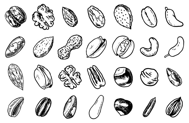 Nuts big set Royalty Free Vector Image - VectorStock