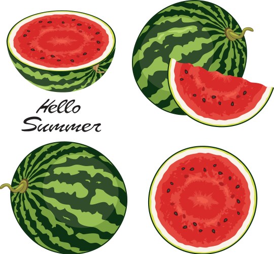 Watermelon Vector Images (over 74,000)