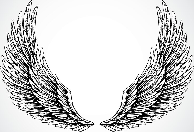 Free Wings Vector Images (over 15,000)