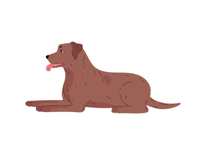 Chocolate Labrador Vector Images (over 130)