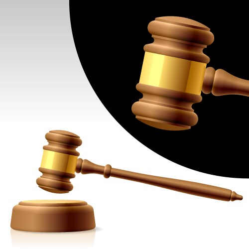 Judge gavel isolated Royalty Free Vector Image