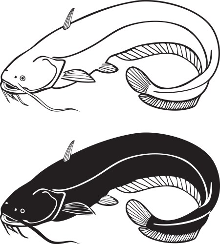 Catfish Vector Images (over 3,300)