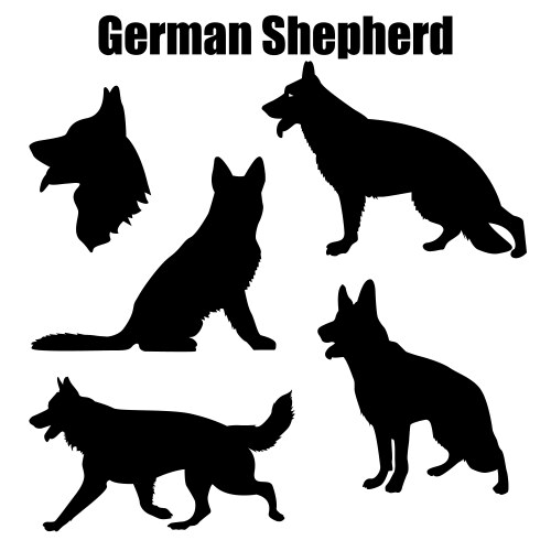 German Shepherd Head Outline Vector Images (over 440)