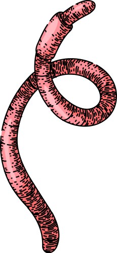 Simple worm sketch hand drawn Royalty Free Vector Image