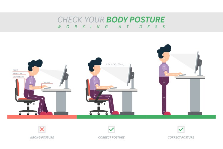 Ergonomics correct sitting posture Royalty Free Vector Image