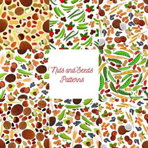 Nuts seeds shape set Royalty Free Vector Image