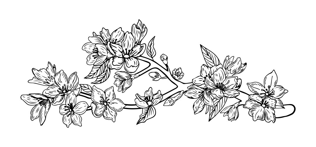 Japanese Flower Drawing Japanese Flower Art Board Print