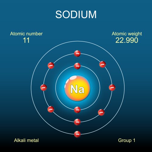 Lithium atom structure bohr model Royalty Free Vector Image
