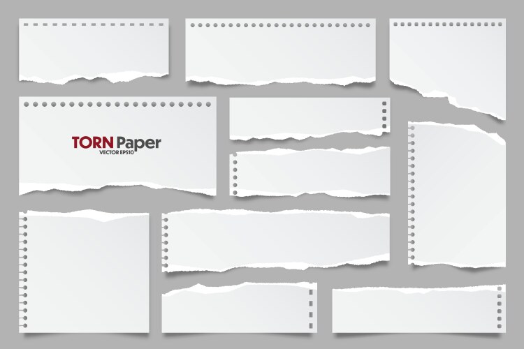 Notebook papers with torn ripped edge set Vector Image
