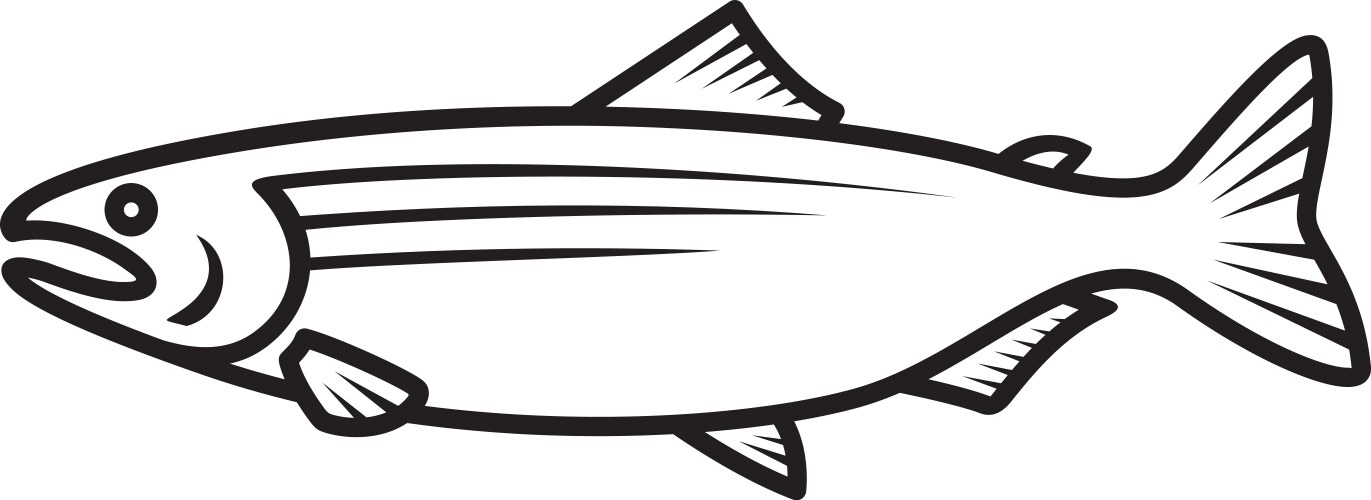 Salmon drawing with black blush lines Royalty Free Vector