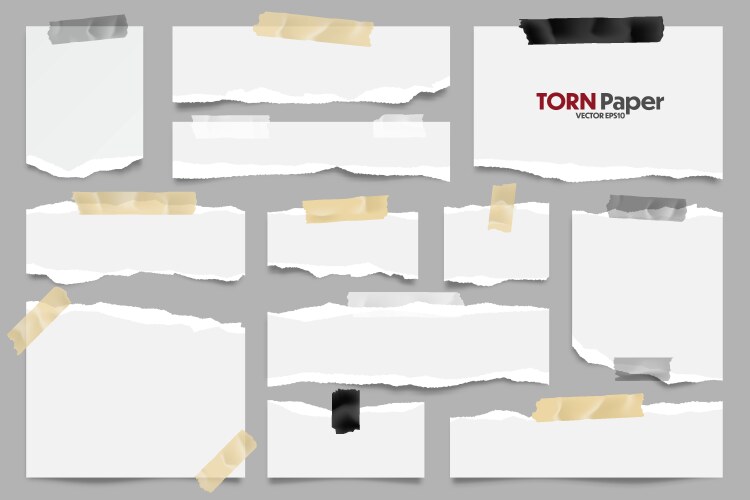 Ripped colored paper strips realistic crumpled Vector Image