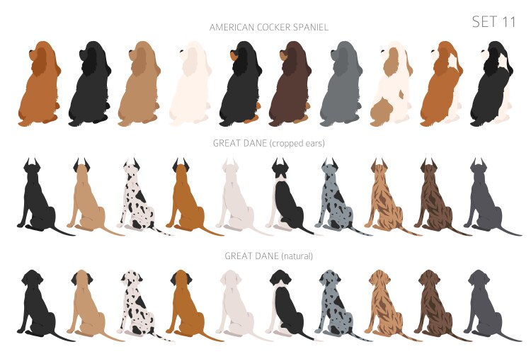Sitting dogs backside clipart rear view Royalty Free Vector