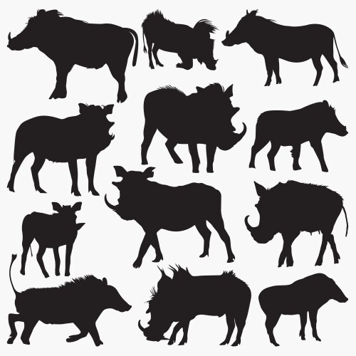 Warthog Vector Images (over 1,600)