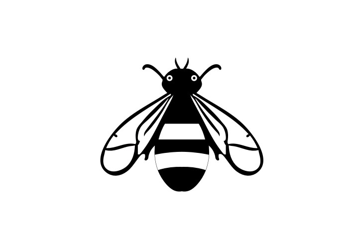Create minimal style africanized bee killer bee Vector Image