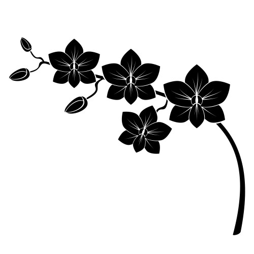 Orchid Vector Images (over 22,000)