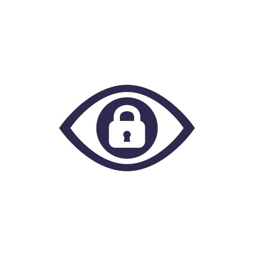 Privacy icon personal protection authentication Vector Image