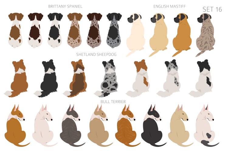 Sitting dogs backside clipart rear view Royalty Free Vector