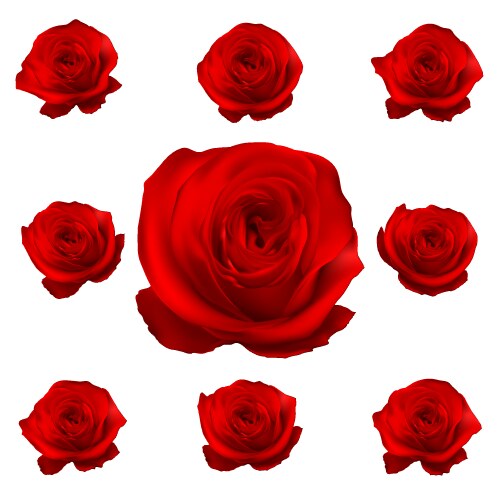 Rose Cutout Vector Images (over 980)