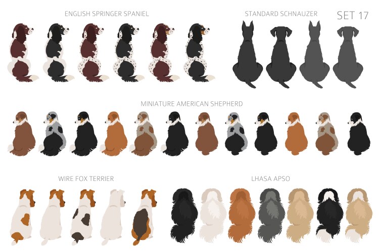 Sitting dogs backside clipart rear view Royalty Free Vector