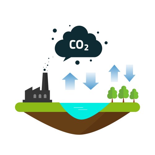 Carbon cycle Royalty Free Vector Image - VectorStock
