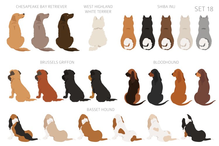 Sitting dogs backside clipart rear view Royalty Free Vector