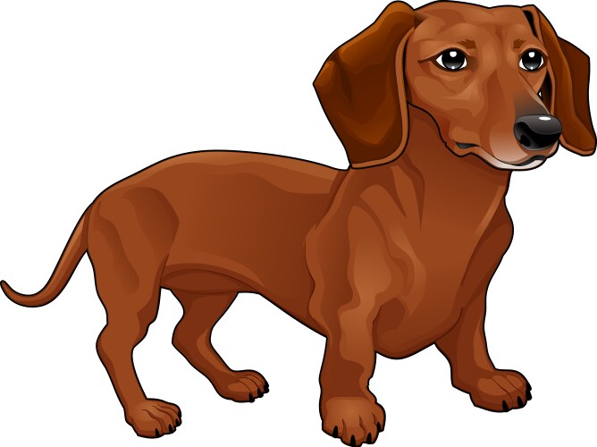 Dachshund Cartoon Vector Images (over 6,600)