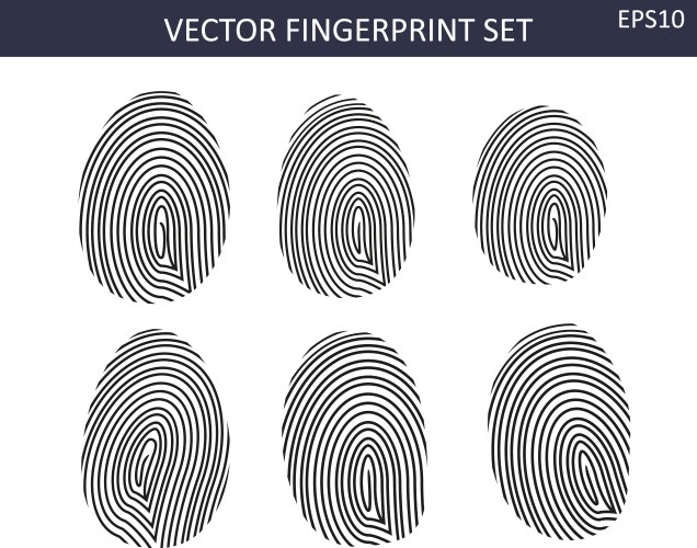 Fingerprint template Royalty Free Vector Image