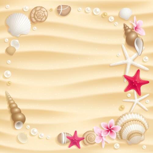 Seashells on sand background Royalty Free Vector Image