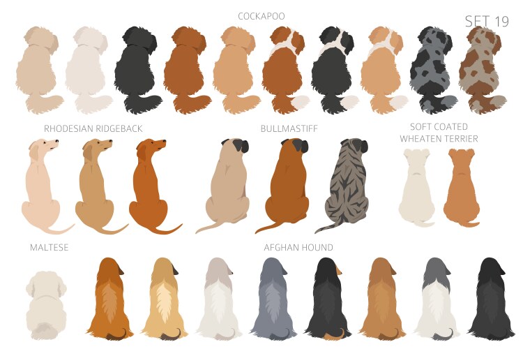 Sitting dogs backside clipart rear view Royalty Free Vector