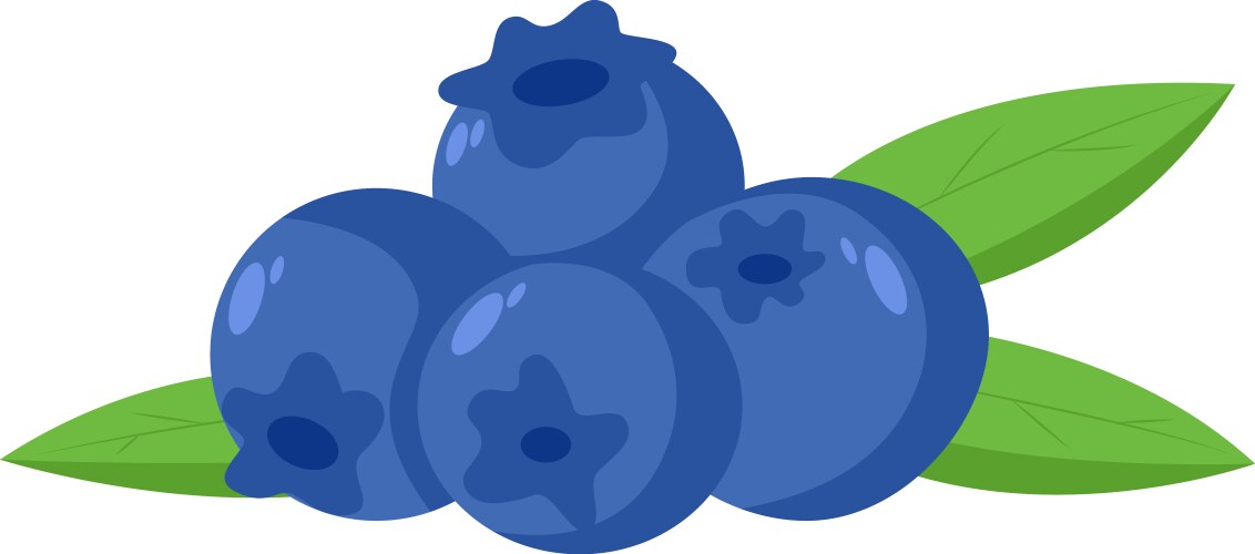 Blueberry Vector Images (over 29,000)